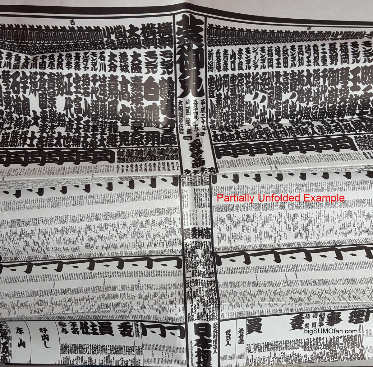 Collectible Banzuke - 2008 - 2017 – bigSUMOfan.com