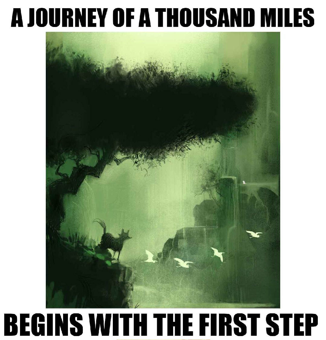 SumoKitty - hardcover children's book – bigSUMOfan.com